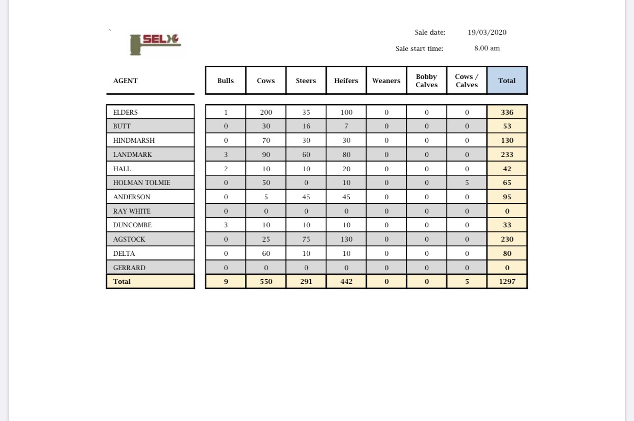 The Herd Online | SELX Yass Prime Cattle Sale
