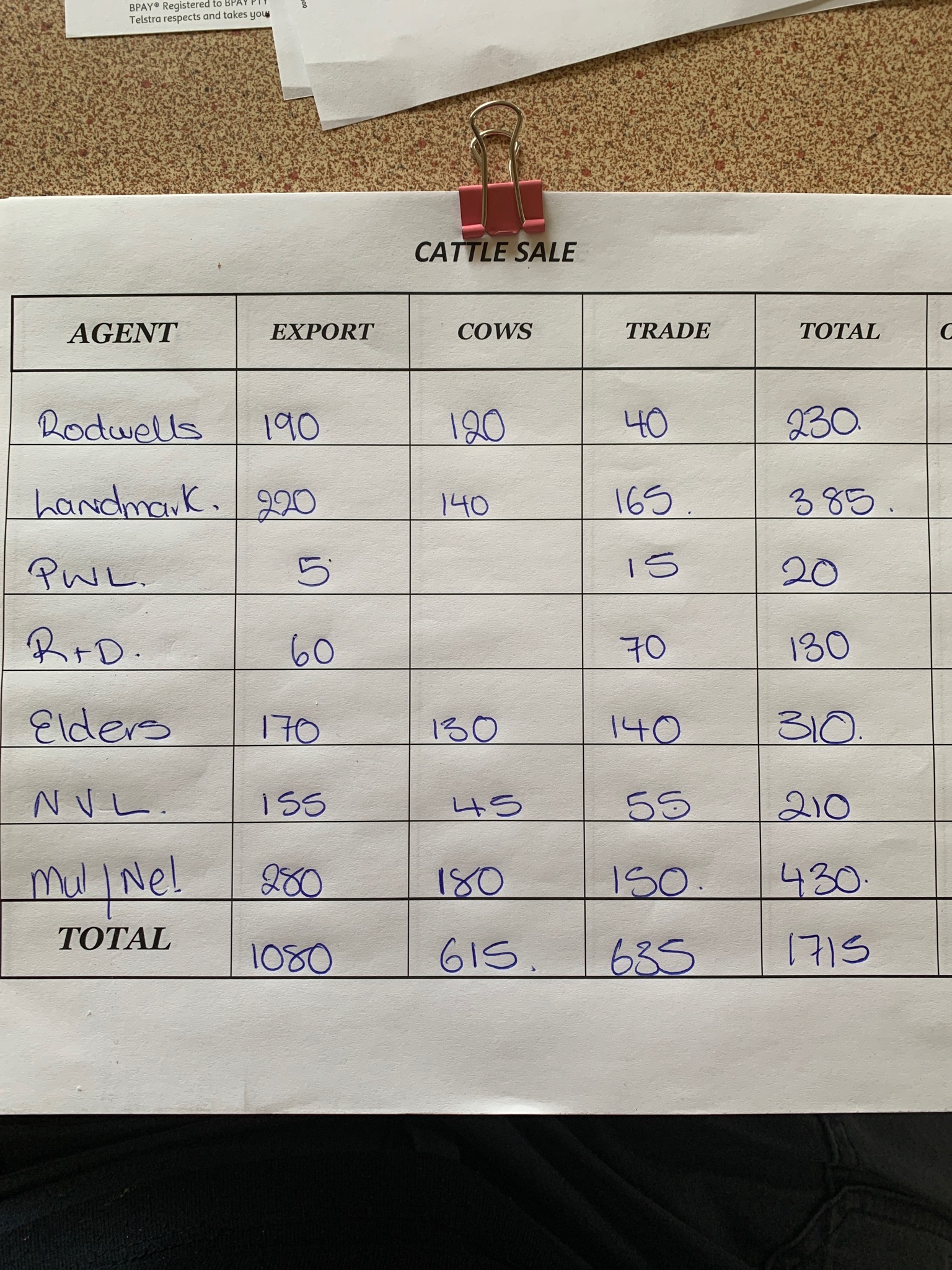 The Herd Online | Shepparton Prime Cattle Sale