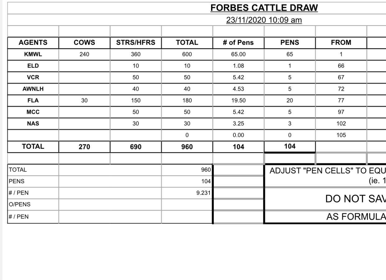 The Herd Online | Forbes Prime Cattle Sale